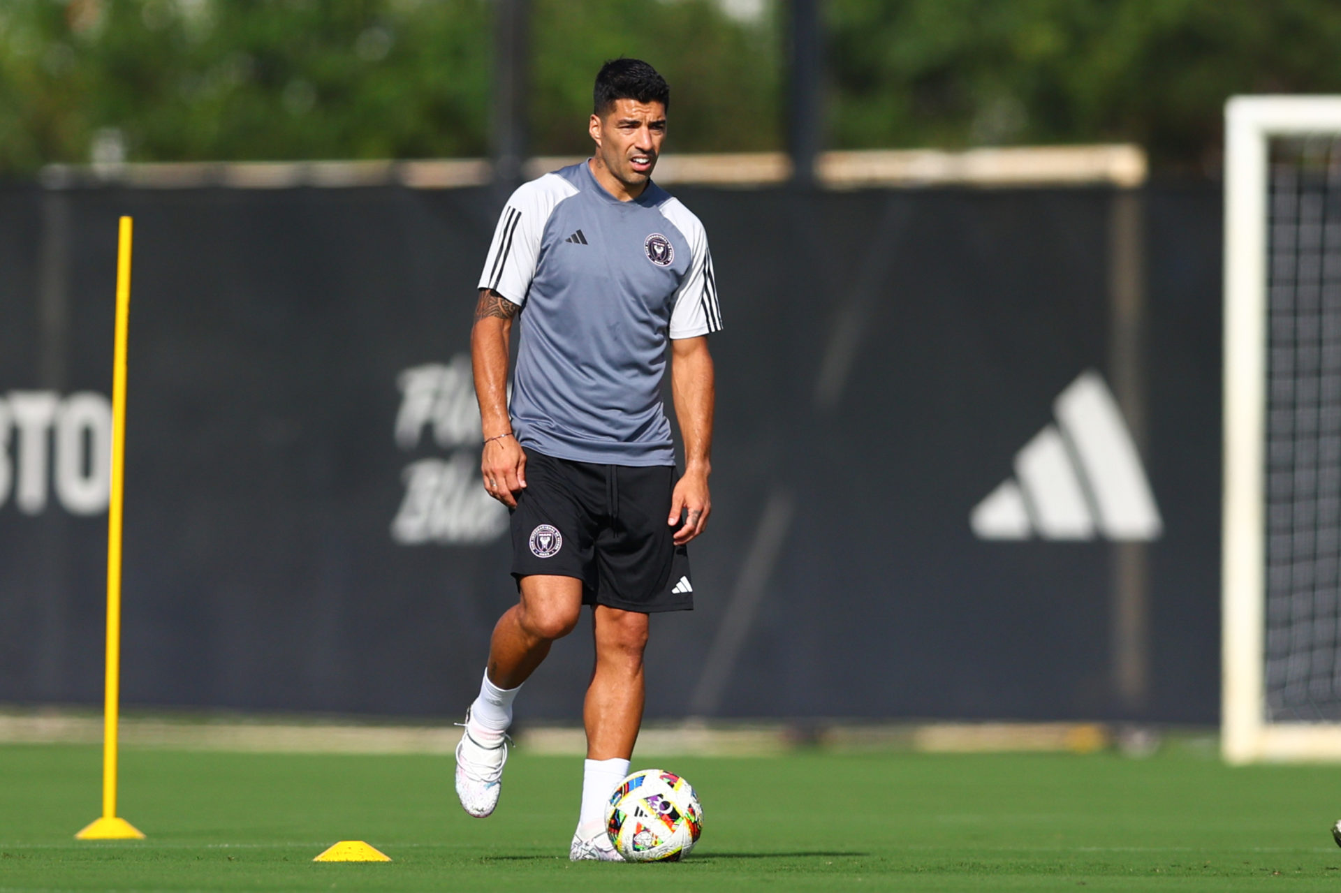Inter Miami receive big Luis Suarez boost days after record-breaking ...